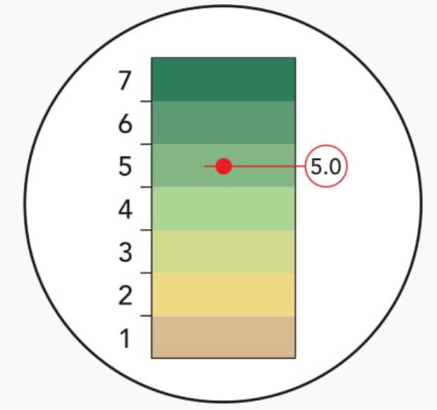 Soil Health Score – Branch Creek